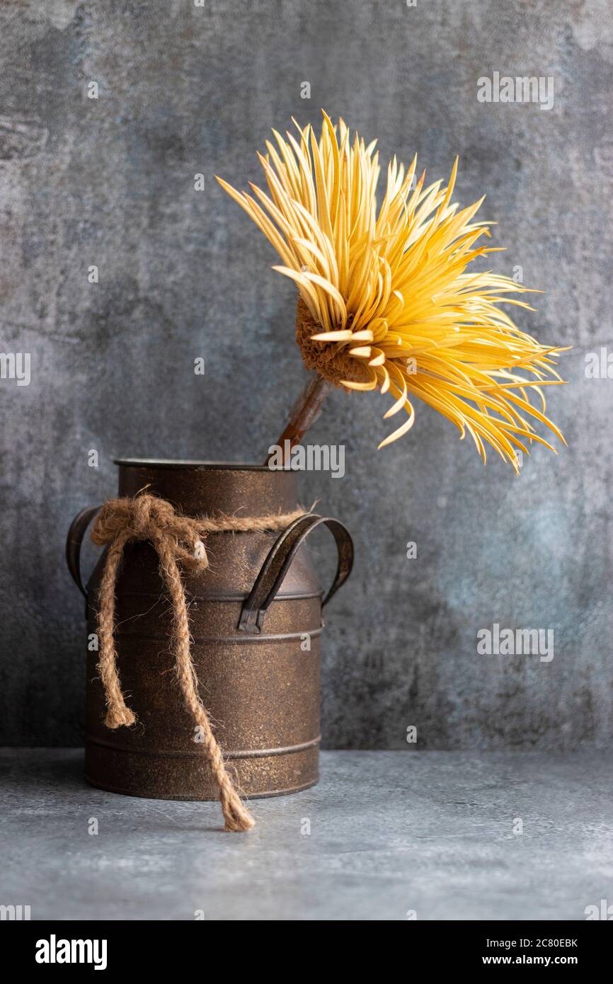 Old iron container with dehydrated flower inside Stock Photo - Alamy