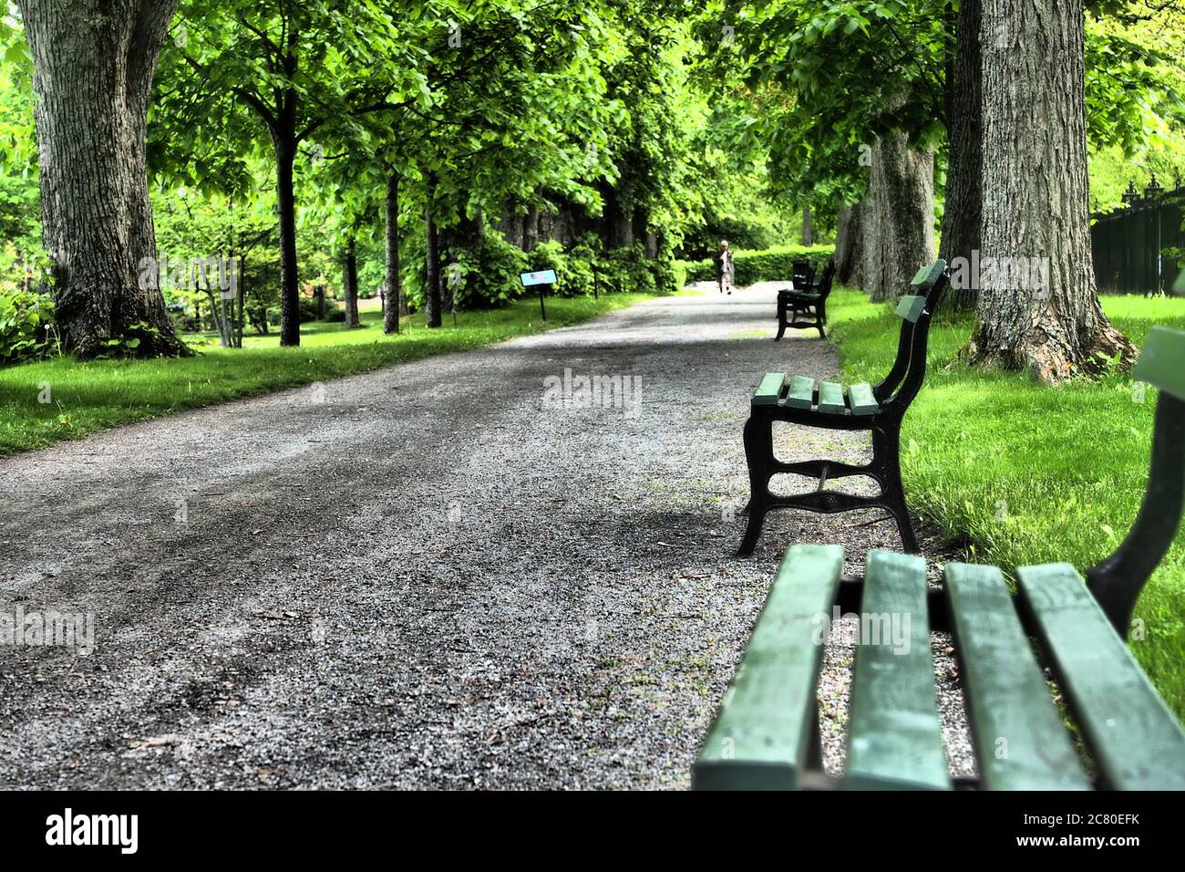 Green-colored benches on the pathway in a park captured during the ...