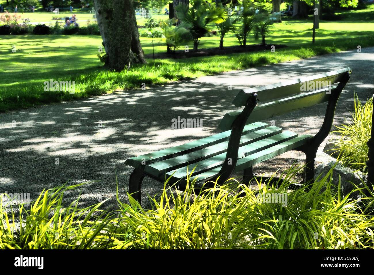 Green-colored wooden bench by a pathway in a park captured during the ...