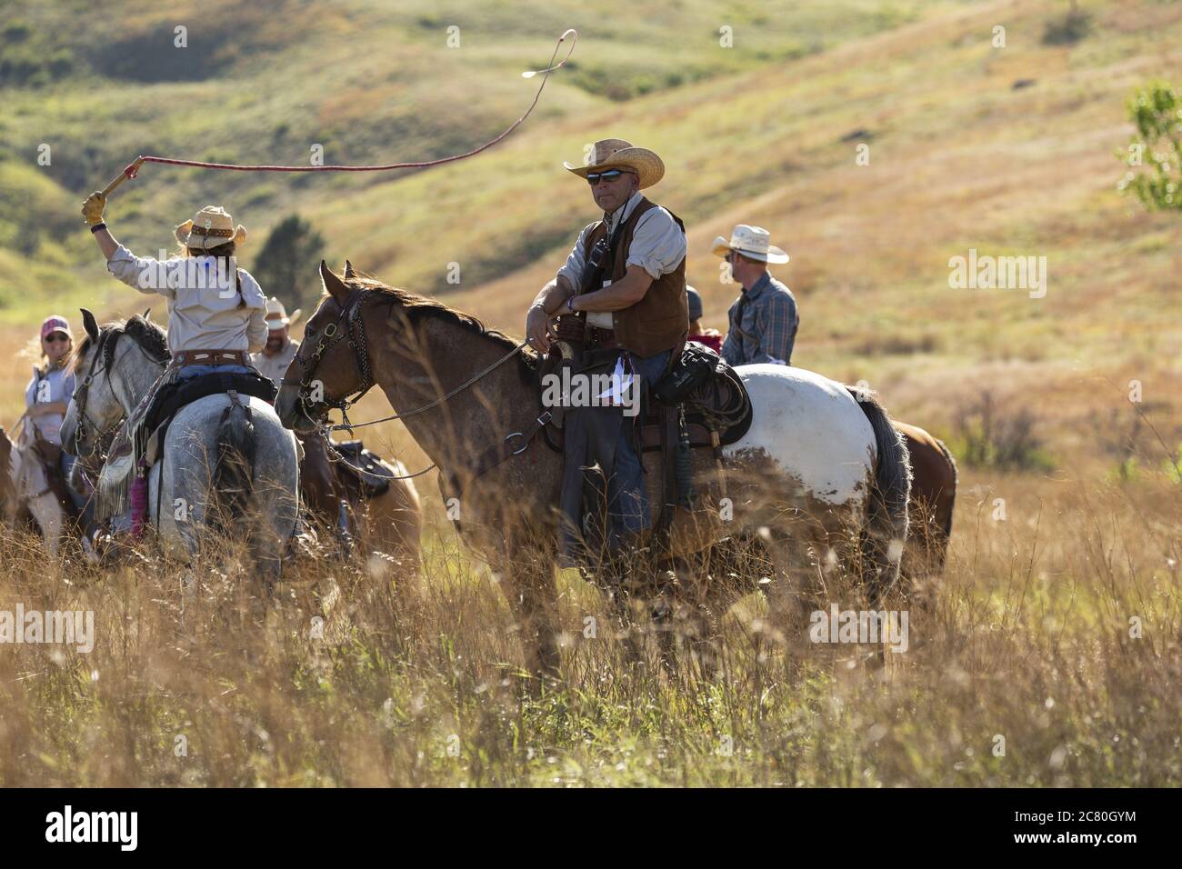 Custer national park buffalo bison roundup America South Dakota rider ...