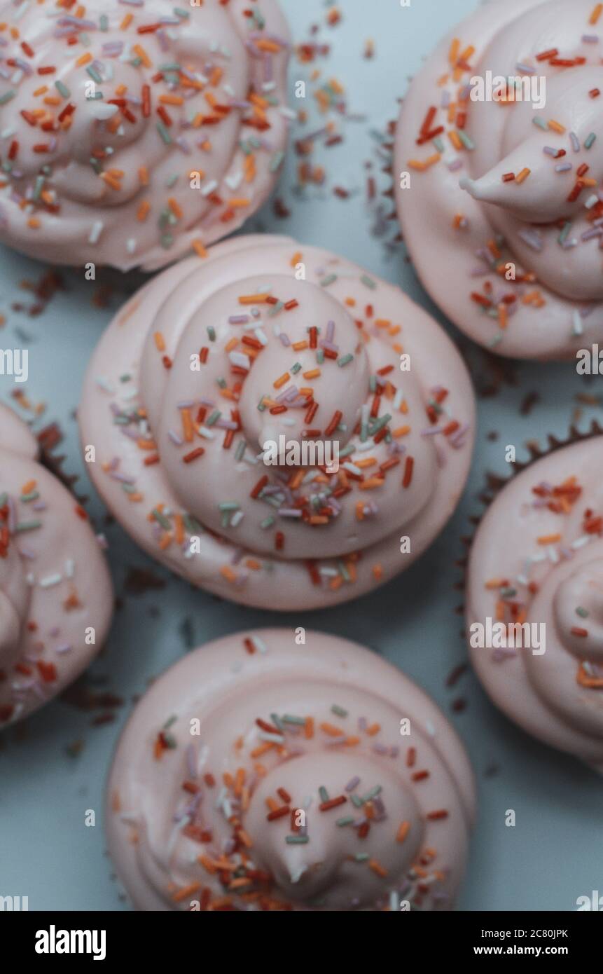 Top view of chocolate cupcakes with a sprinkle toppings on a blue plate ...