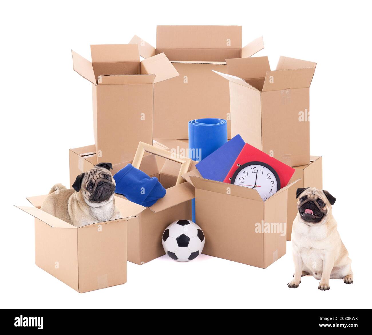 moving day concept - brown cardboard boxes and dogs isolated on white ...