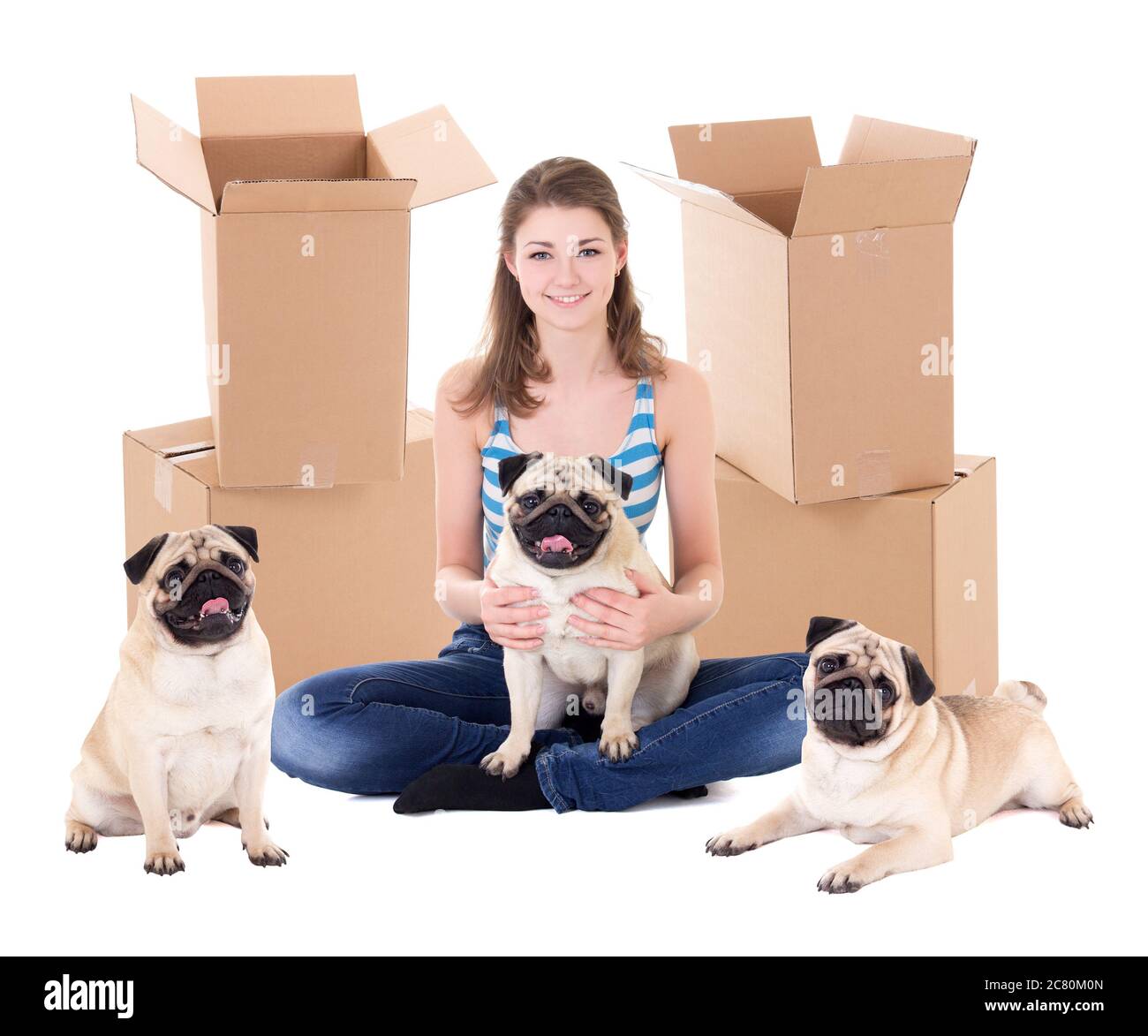 young woman with brown cardboard boxes and cute pug dogs isolated on ...