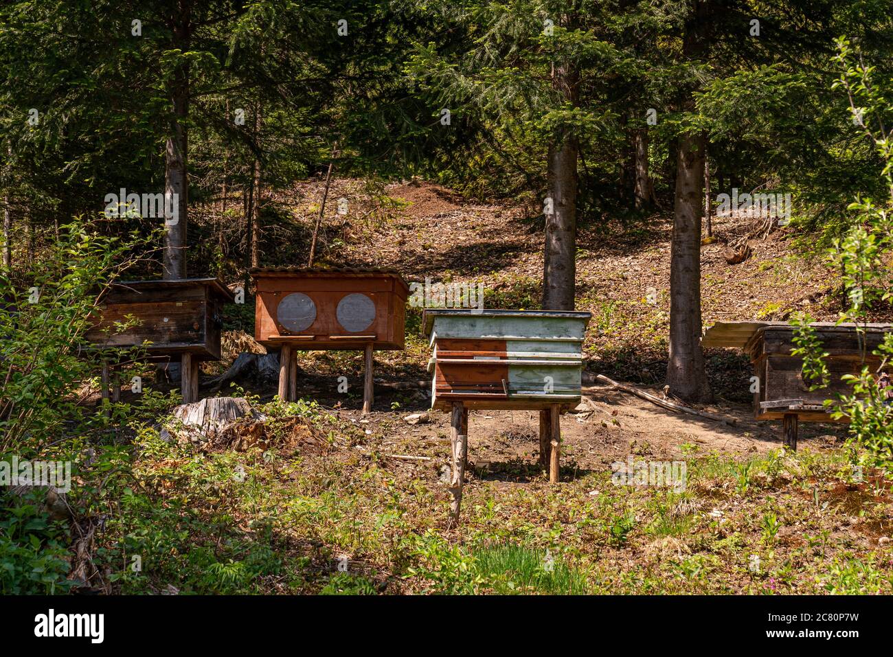 Small apiary with colorful bee hives in mountains Stock Photo - Alamy