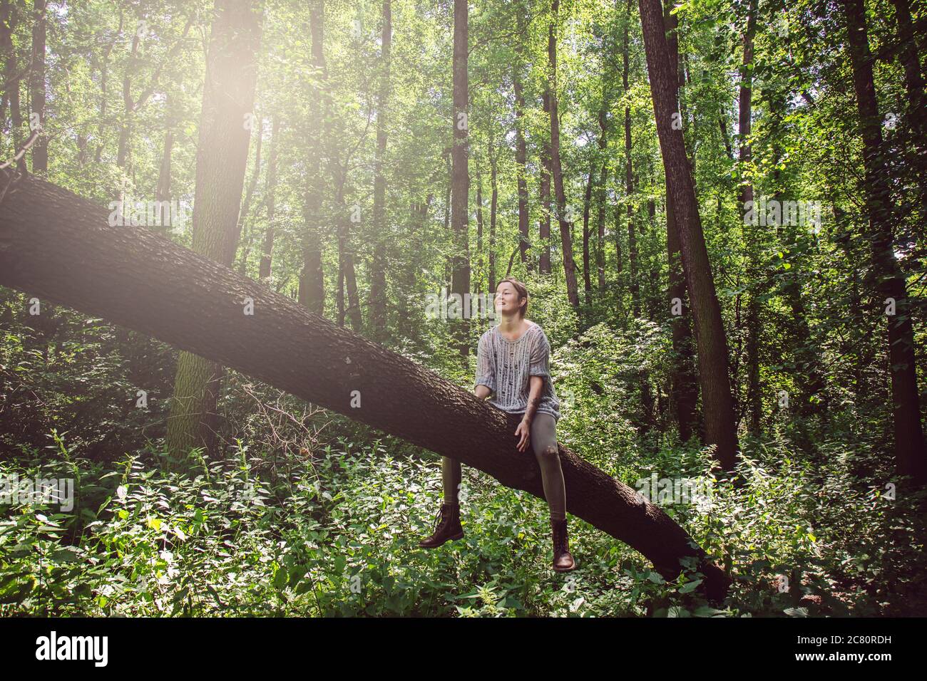 Young woman sitting on the tree and enjoying nature around her Stock ...