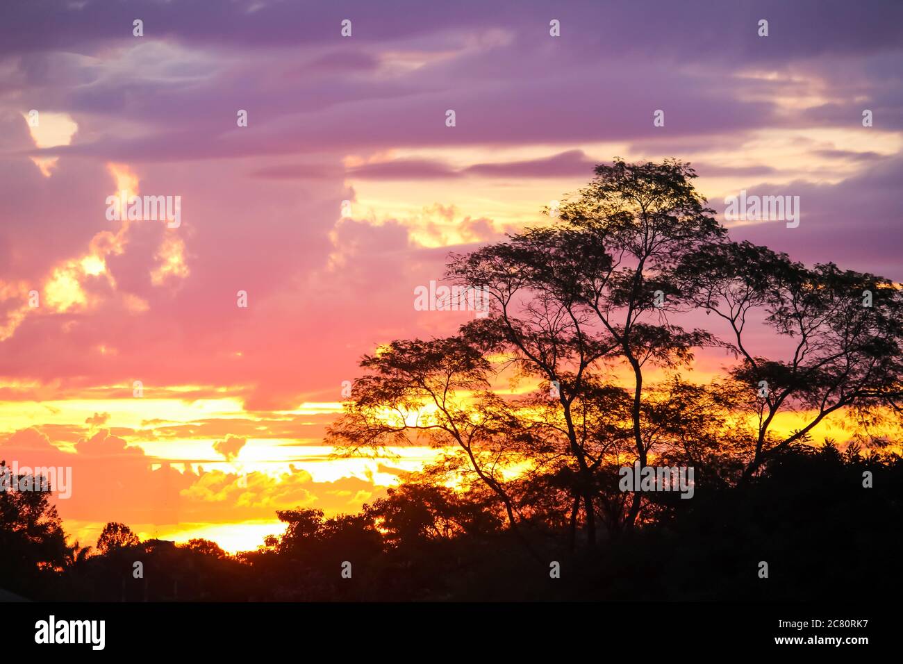 Amazing sunset in tropical jungle in Brazil. Yellow and orange colors ...