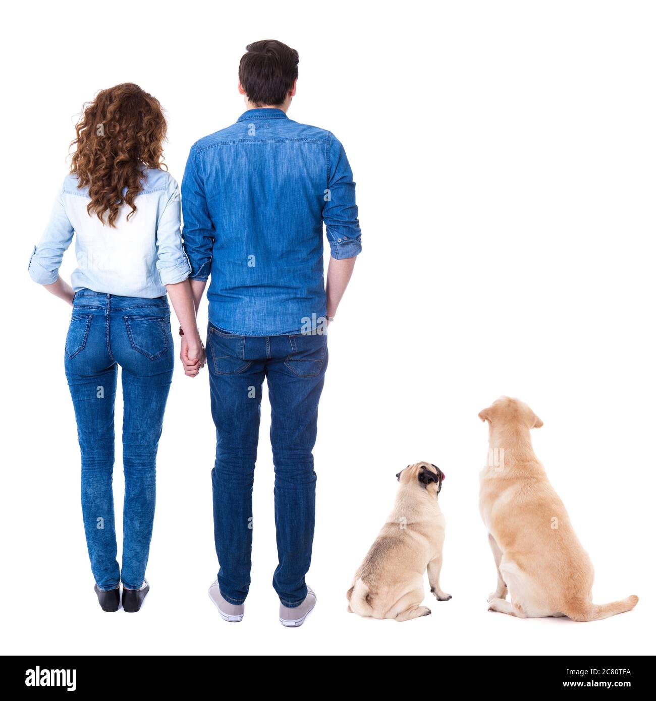 back view of lovely couple and their cute dogs isolated on white ...