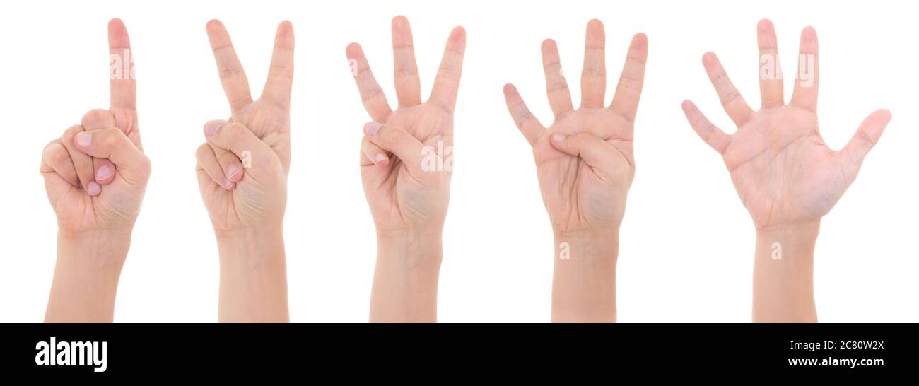 male hands counting from one to five isolated on white background Stock ...