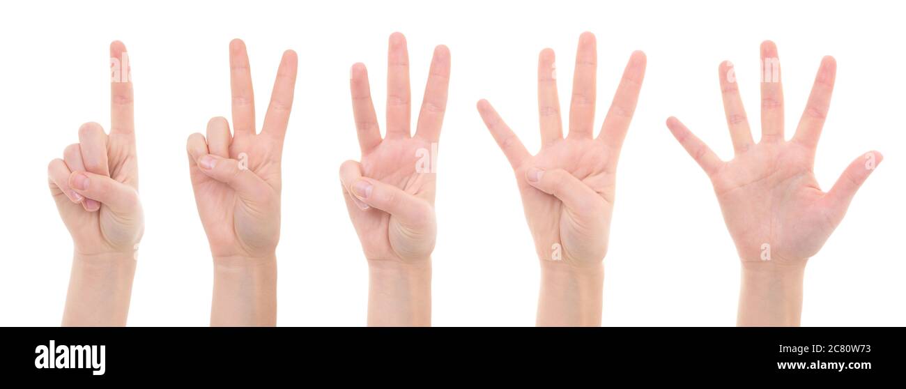 female hands counting from one to five isolated on white background ...