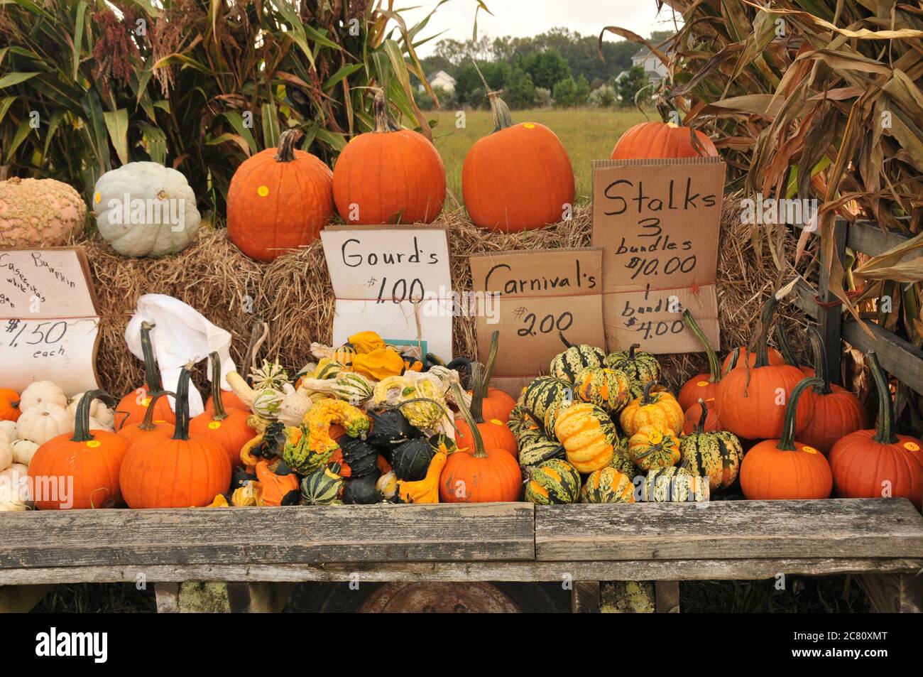 Fall scene, pumpkins hi-res stock photography and images - Alamy