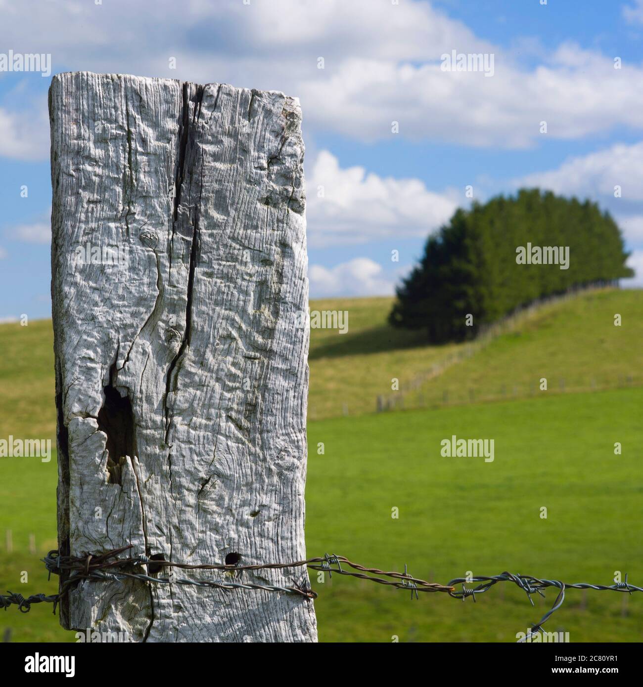 Rustic wooden post with barbed wire in a vibrant green pasture under a ...
