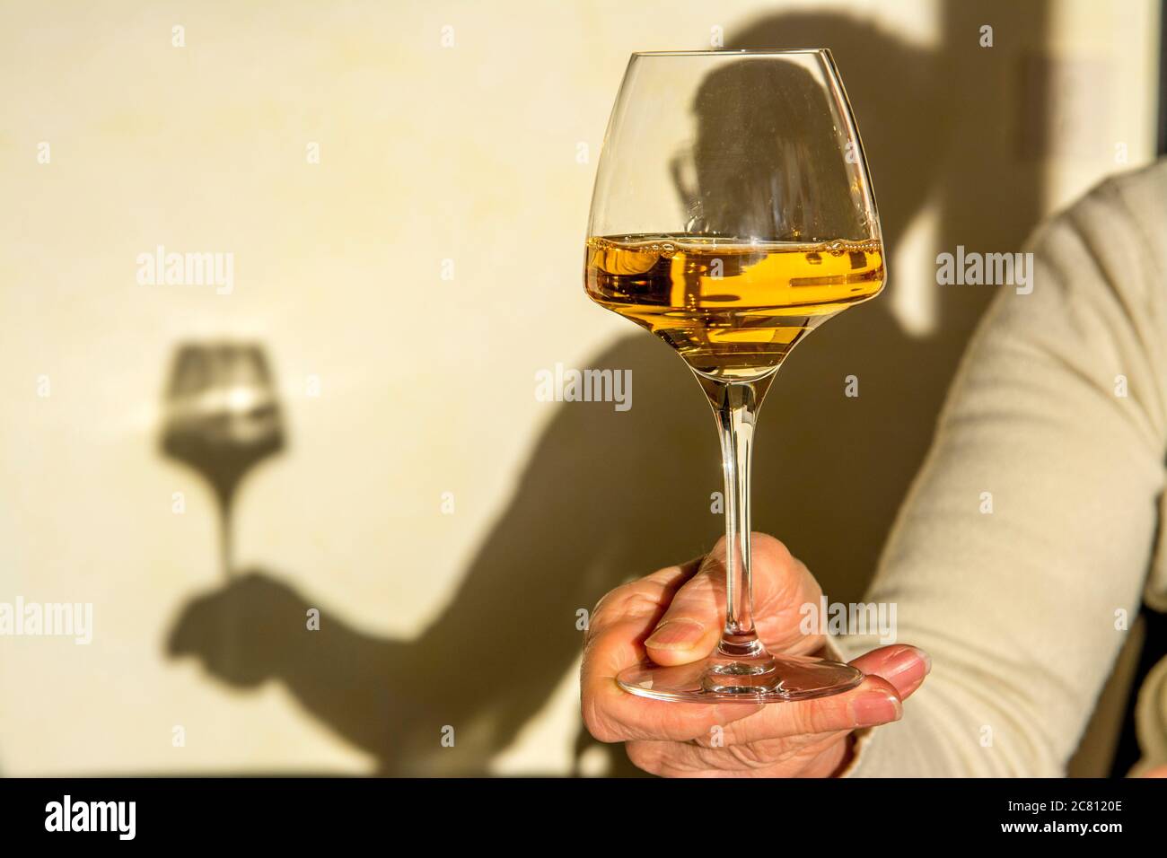 Hand holding a glass of white wine casting a shadow on a wall in warm ...