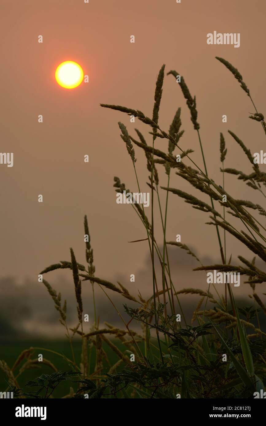 Mist Over Farm High Resolution Stock Photography and Images - Alamy