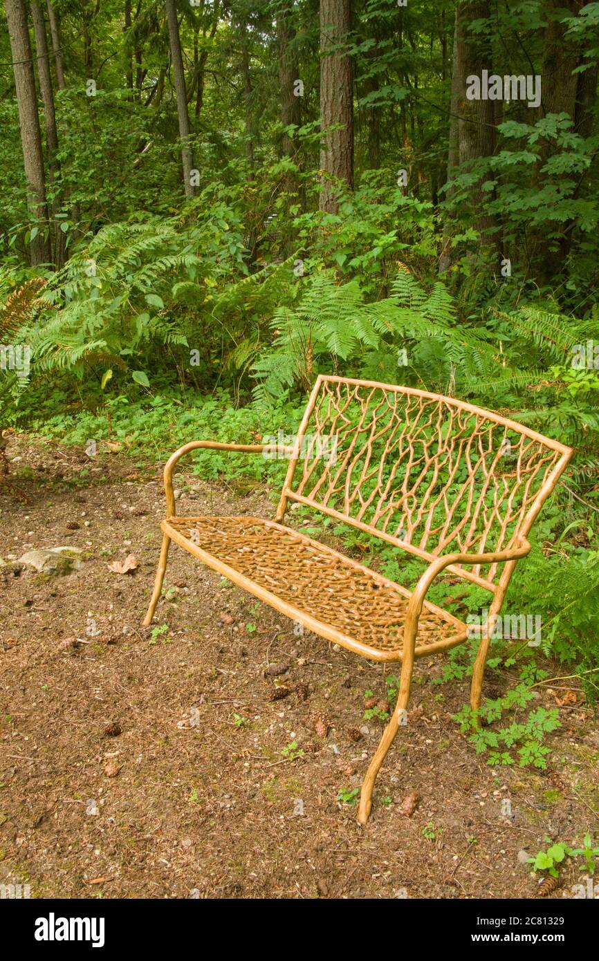 Decorative garden bench surrounded by Sword Fern and Bracken Fern in a ...