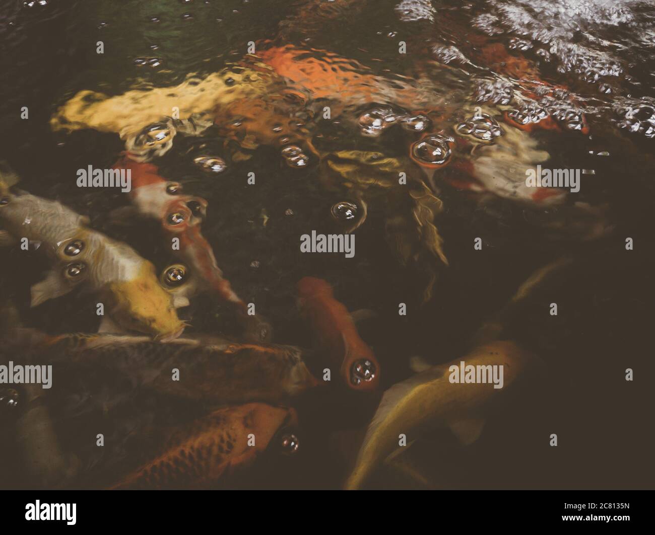 Dream eco hi-res stock photography and images - Alamy