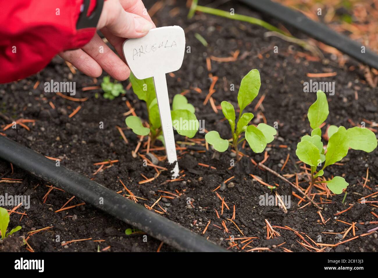 Plant id sign hi-res stock photography and images - Alamy