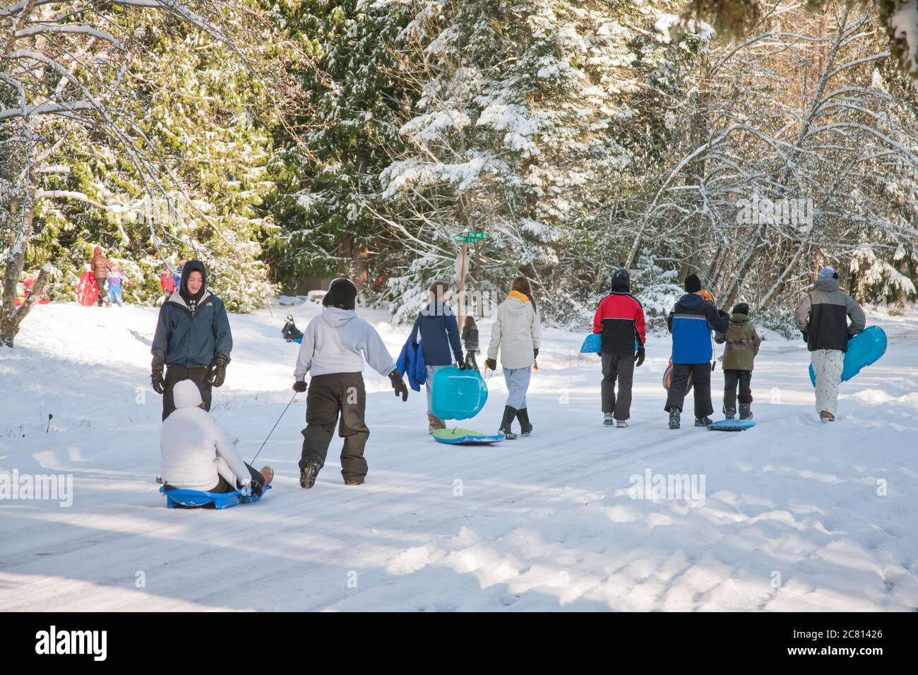 Group of teenagers walking with sleds on snow-covered road in Issaquah ...