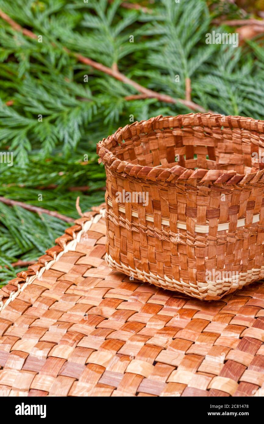 Western redcedar branchlet hi-res stock photography and images - Alamy