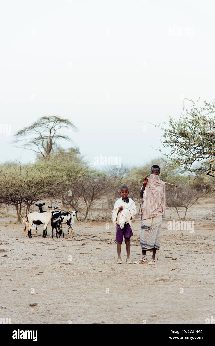 Nomadic Father and Son from the Afar tribe care for their goats in ...