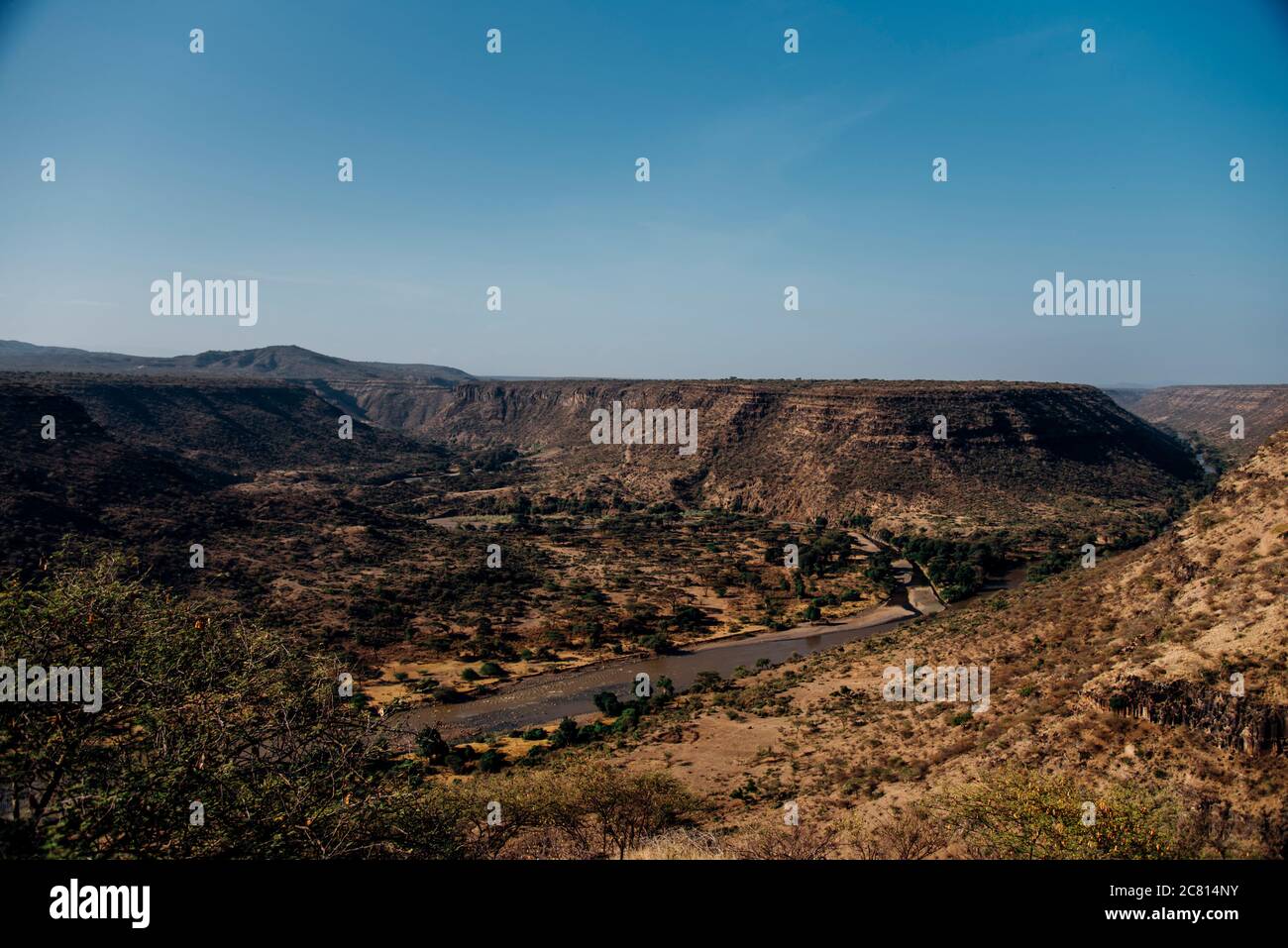 Large gorge where the awash river flows through in the national park ...