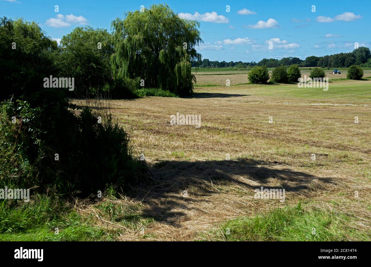 Farming landscape in East Yorkshire, England UK Stock Photo - Alamy