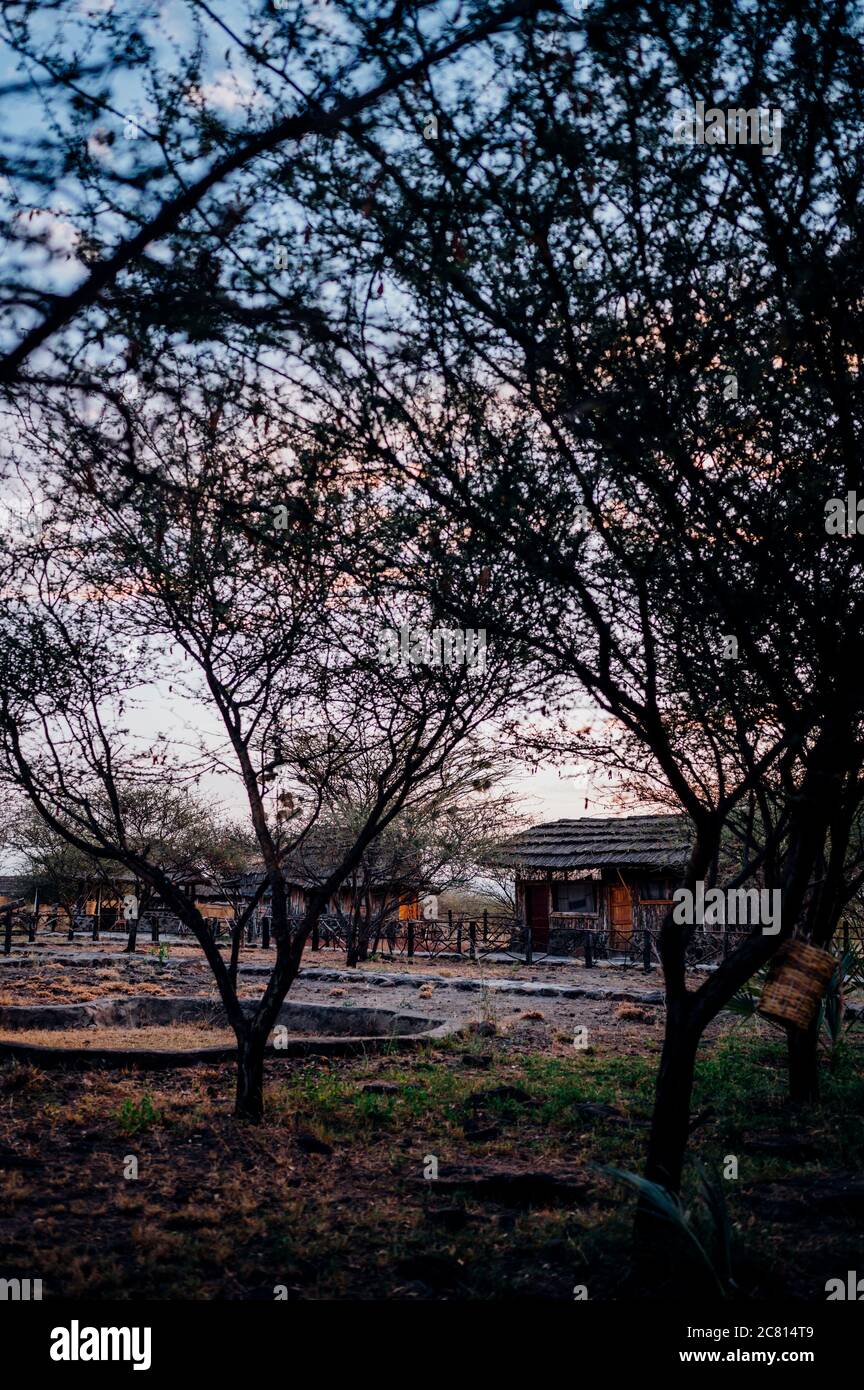 Doho Safari Lodge in Awash National Park, Afar district, Ethiopia Stock ...