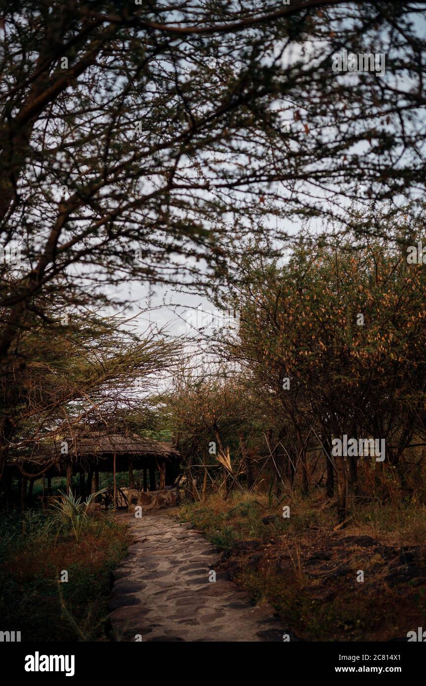 Doho Safari Lodge in Awash National Park, Afar district, Ethiopia Stock ...