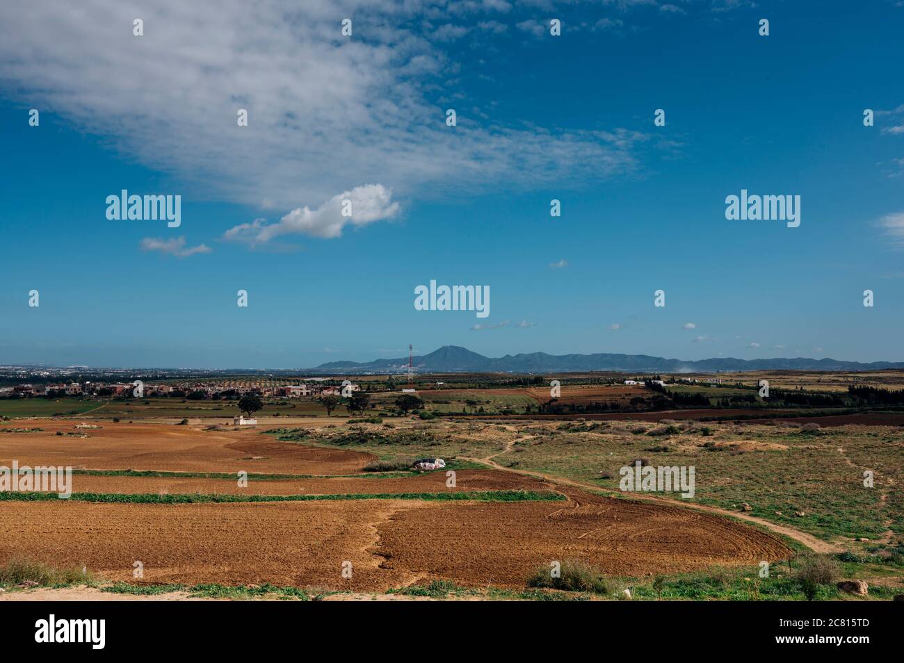 The ancient roman ruins of Uthina in Tunisia Stock Photo - Alamy