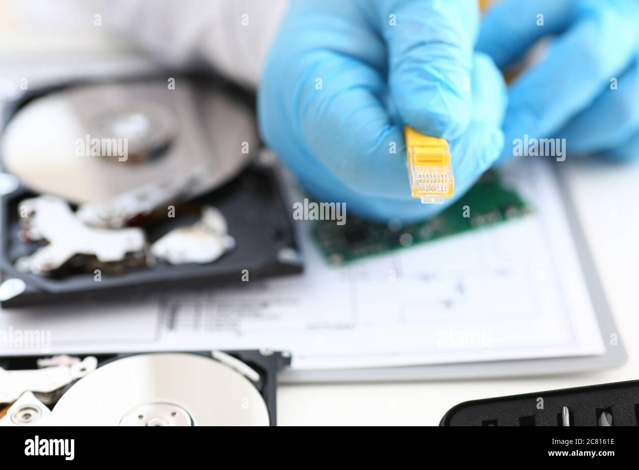 Engineer hand holding patch cord with RJ45 connector Stock Photo - Alamy