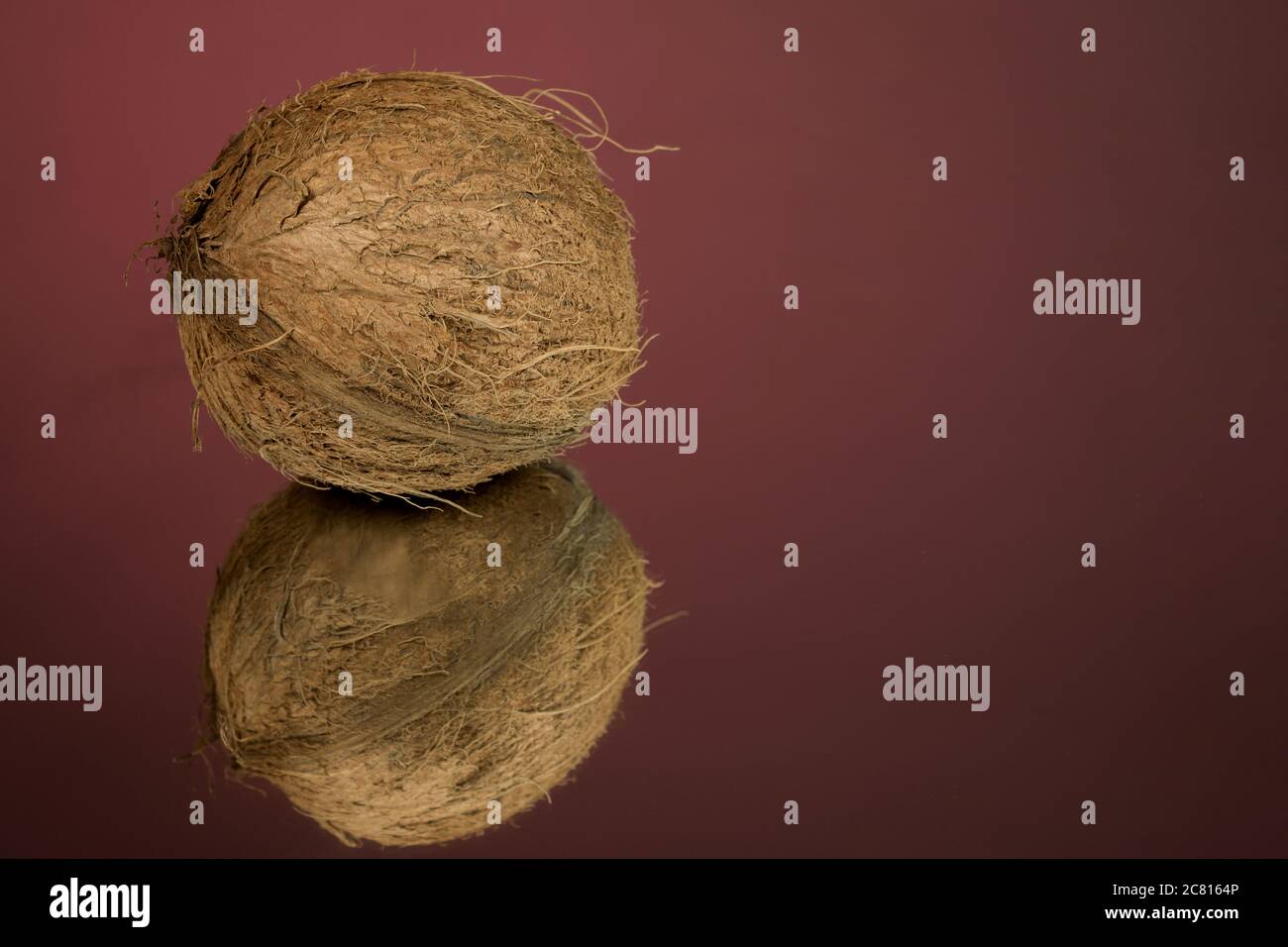 Large shaggy coconut isolated on a red mirror surface with reflection ...