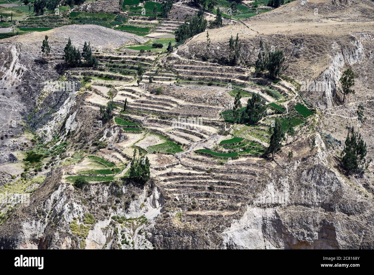 Colca valley stepped terraced slopes Stock Photo - Alamy