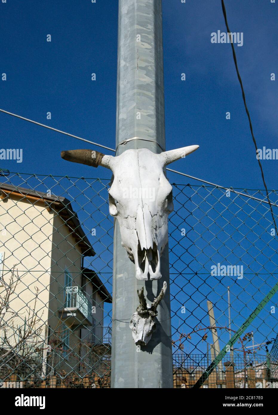 Skull on fence hi-res stock photography and images - Alamy