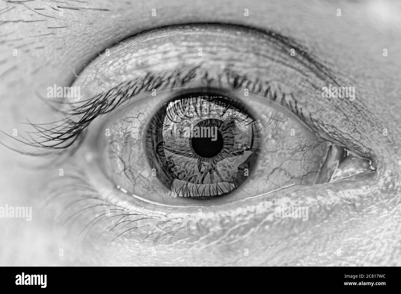 Eye Reflection Black And White