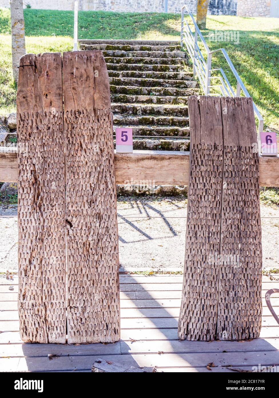 Trillos hi-res stock photography and images - Alamy