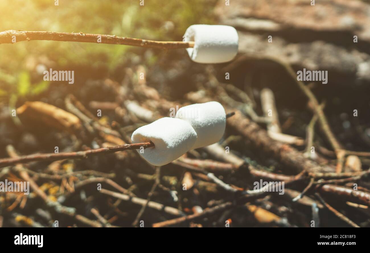 Three marshmallows on a stick over bonfire at the camp Stock Photo - Alamy