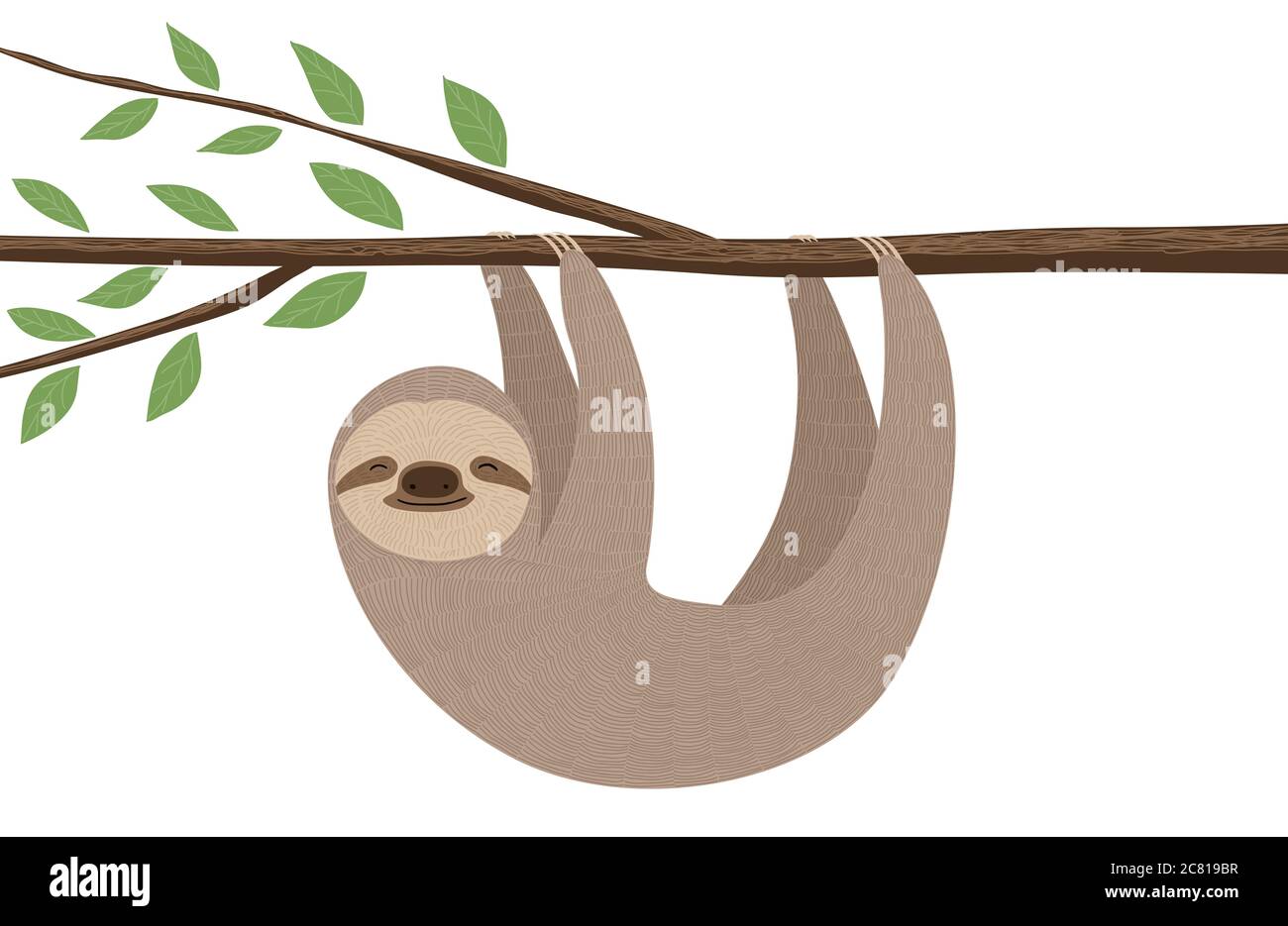 Sloth tree sleeping Cut Out Stock Images & Pictures - Alamy