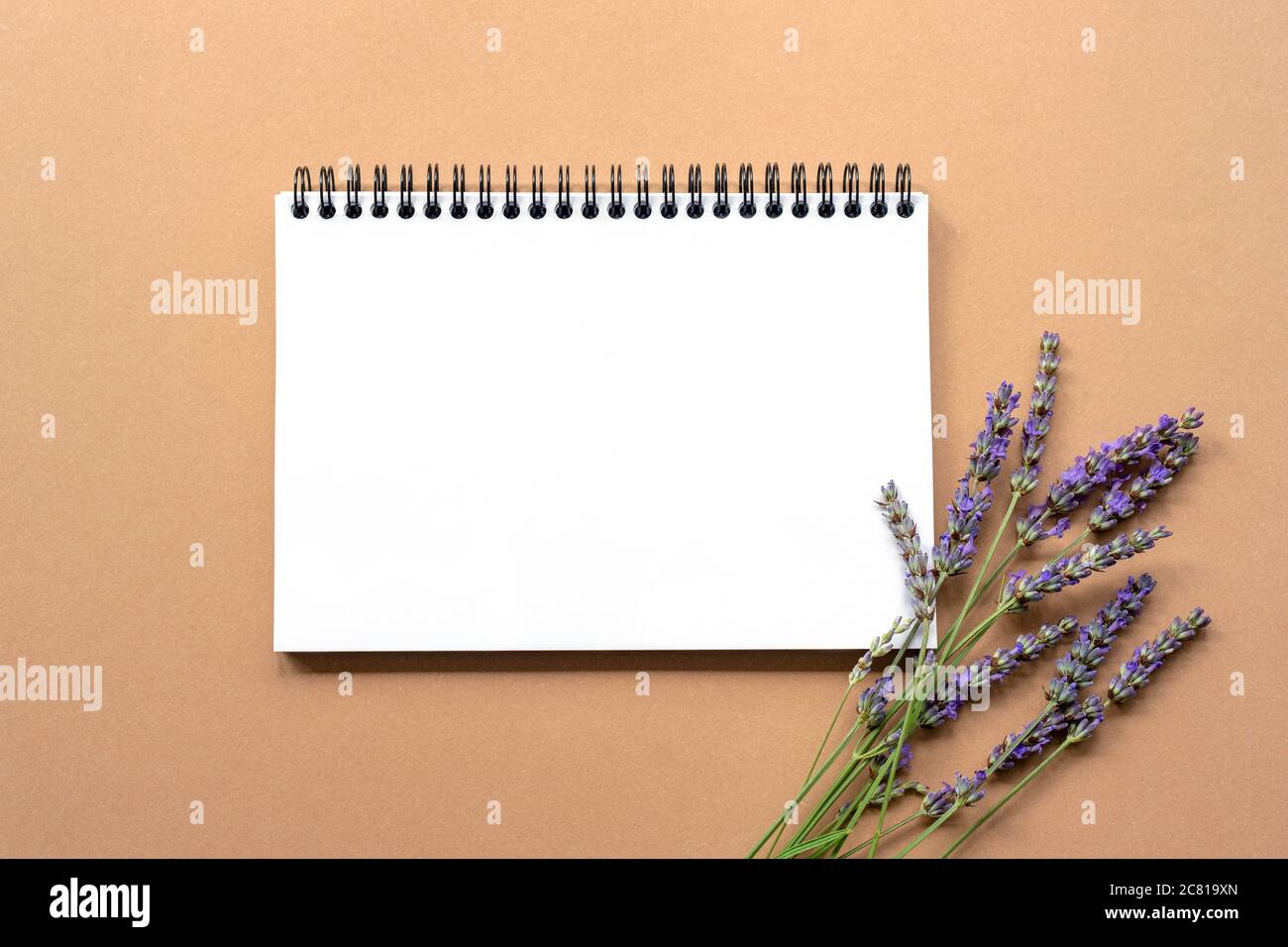 Blank notepad on light brown background with lavender flowers. Top view ...
