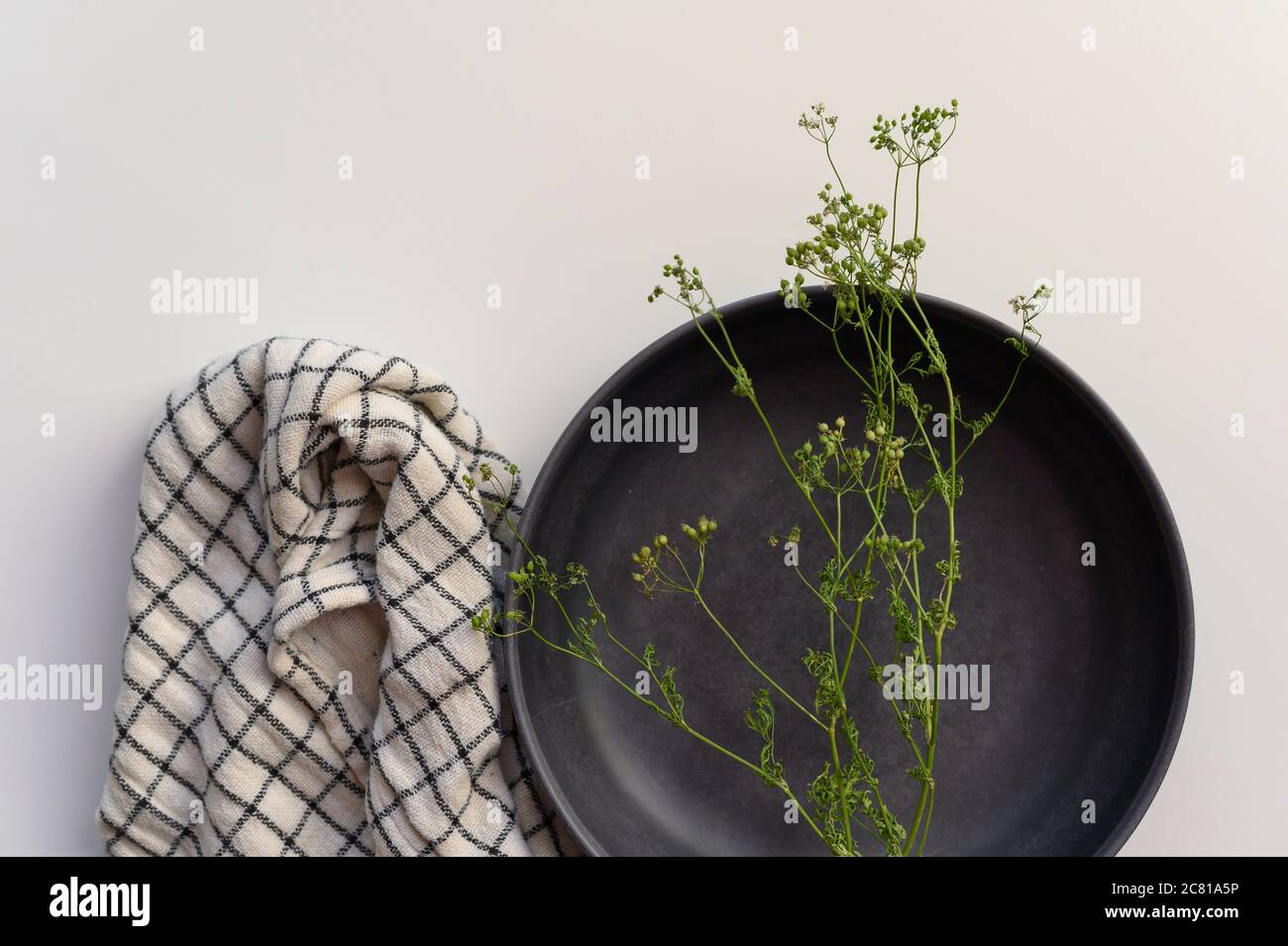 A cilantro sprig hi-res stock photography and images - Alamy