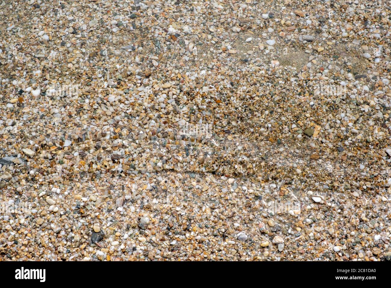 Seabed texture hi-res stock photography and images - Alamy
