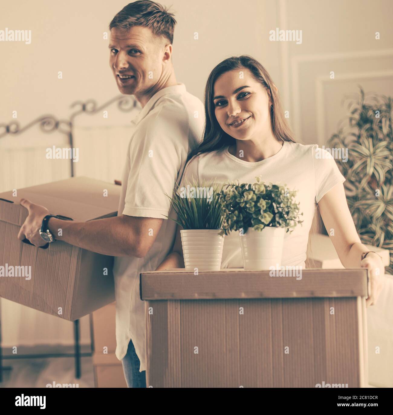 Arranging boxes hi-res stock photography and images - Alamy
