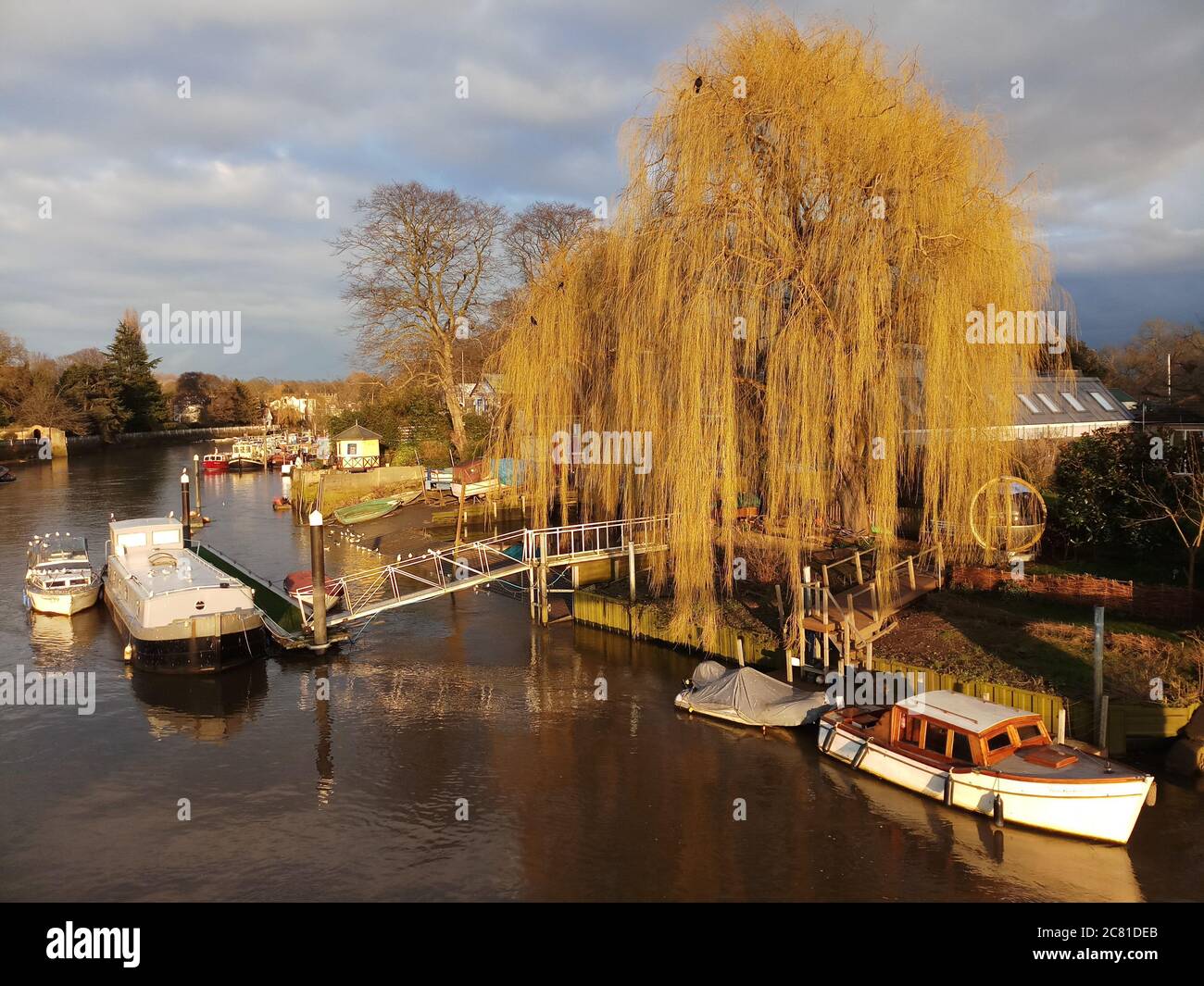 Large willow tree bends into the river, providing shade for some boats ...
