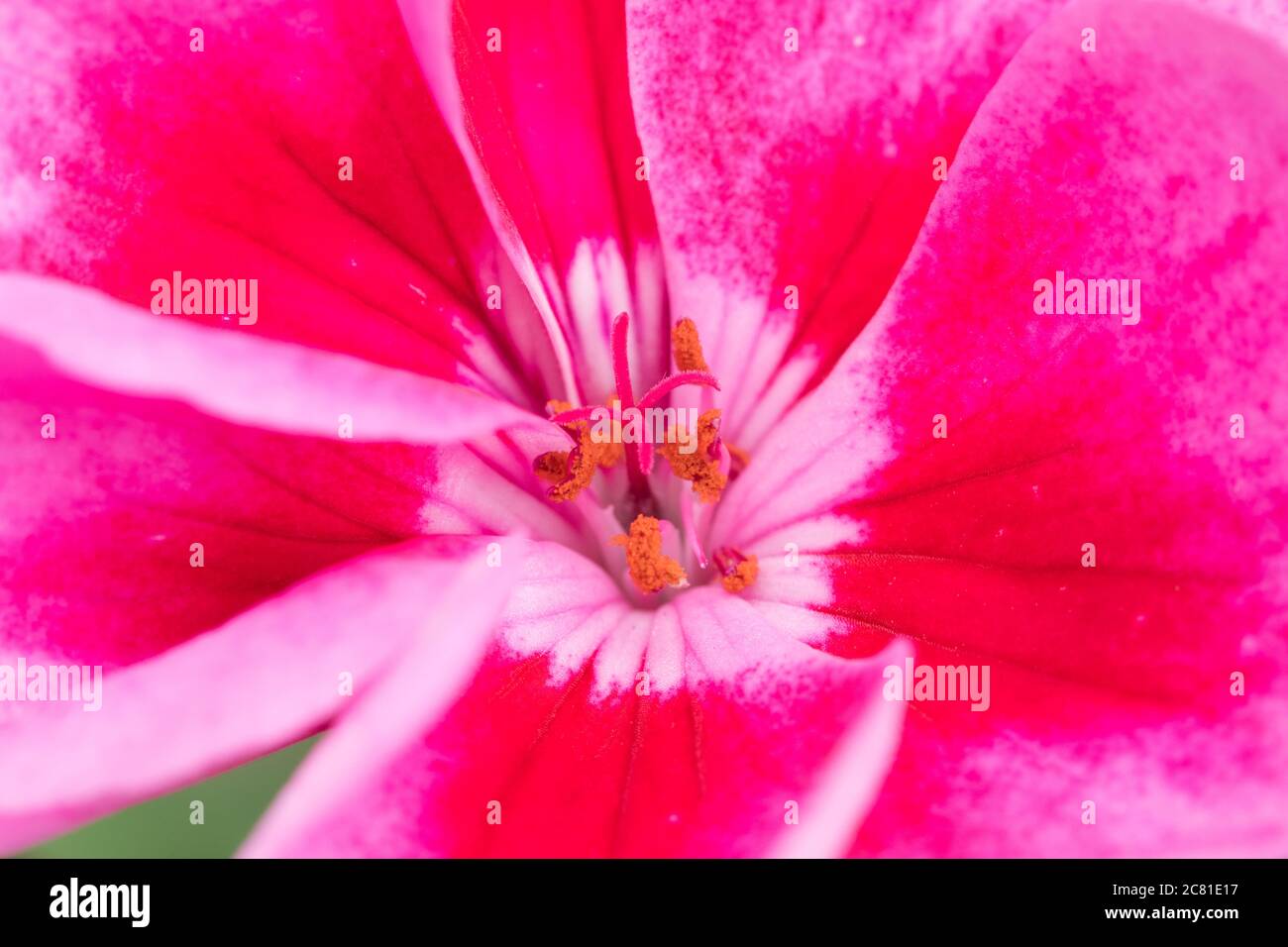 Pink mega splash hi-res stock photography and images - Alamy