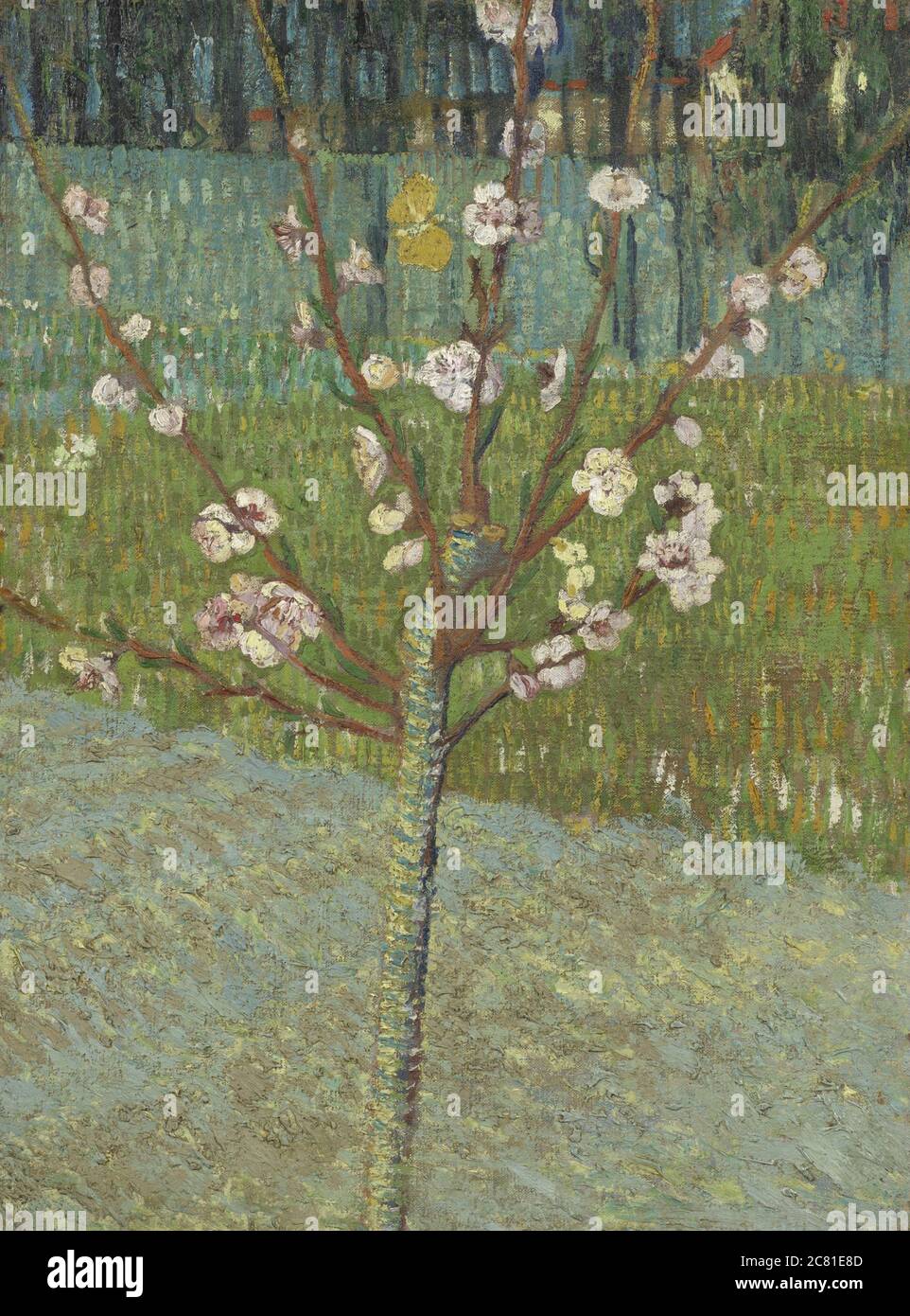 Amazing artwork from famous painter Vincent van Gogh Stock Photo - Alamy