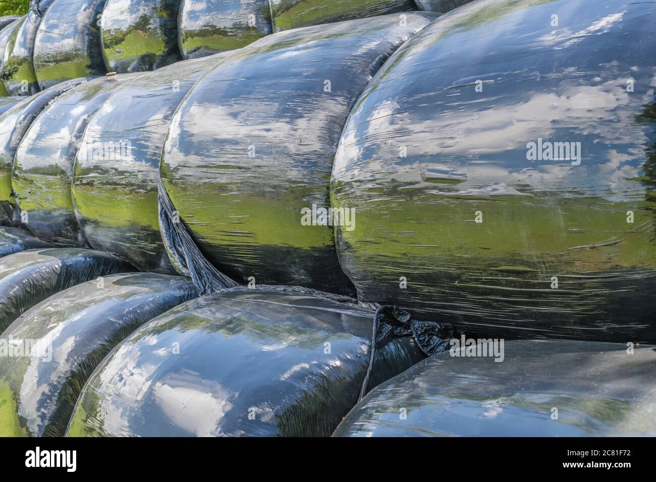Wrapped in black plastic bale wrap hi-res stock photography and images ...