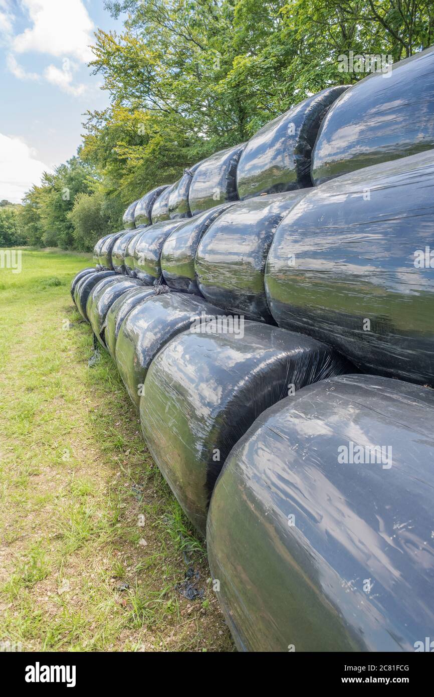 Plastic wrapped haybales hi-res stock photography and images - Alamy