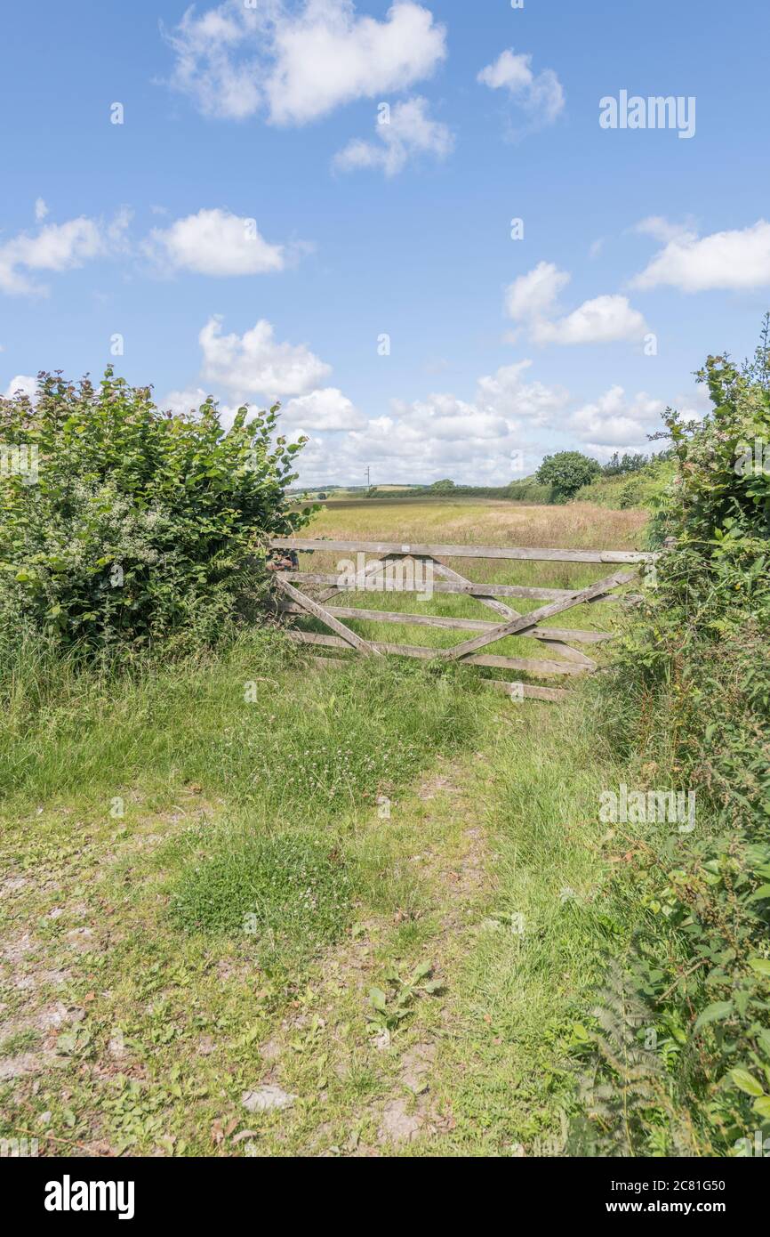 Field entrance with a wooden farm gate set against blue summer sky with ...