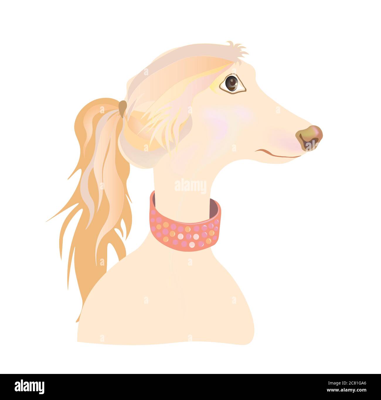 Lady dog portrait Cut Out Stock Images & Pictures - Alamy