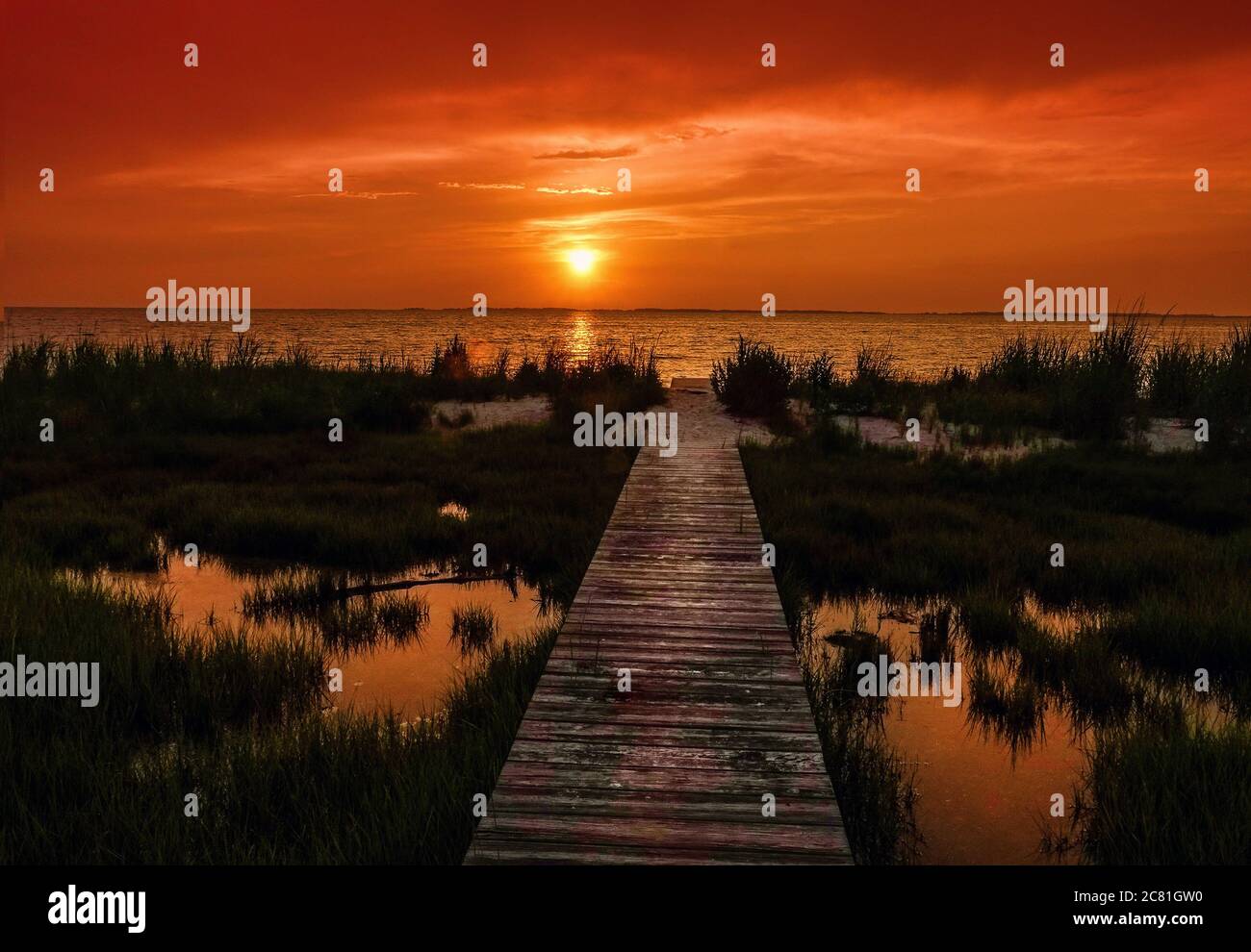 Mrshlands hi-res stock photography and images - Alamy