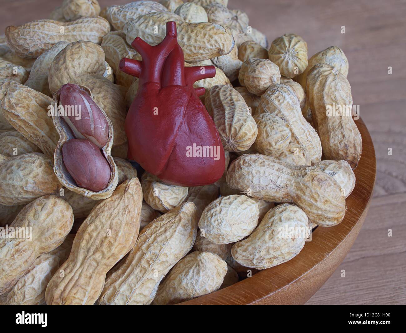 Plastic model heart hi-res stock photography and images - Alamy