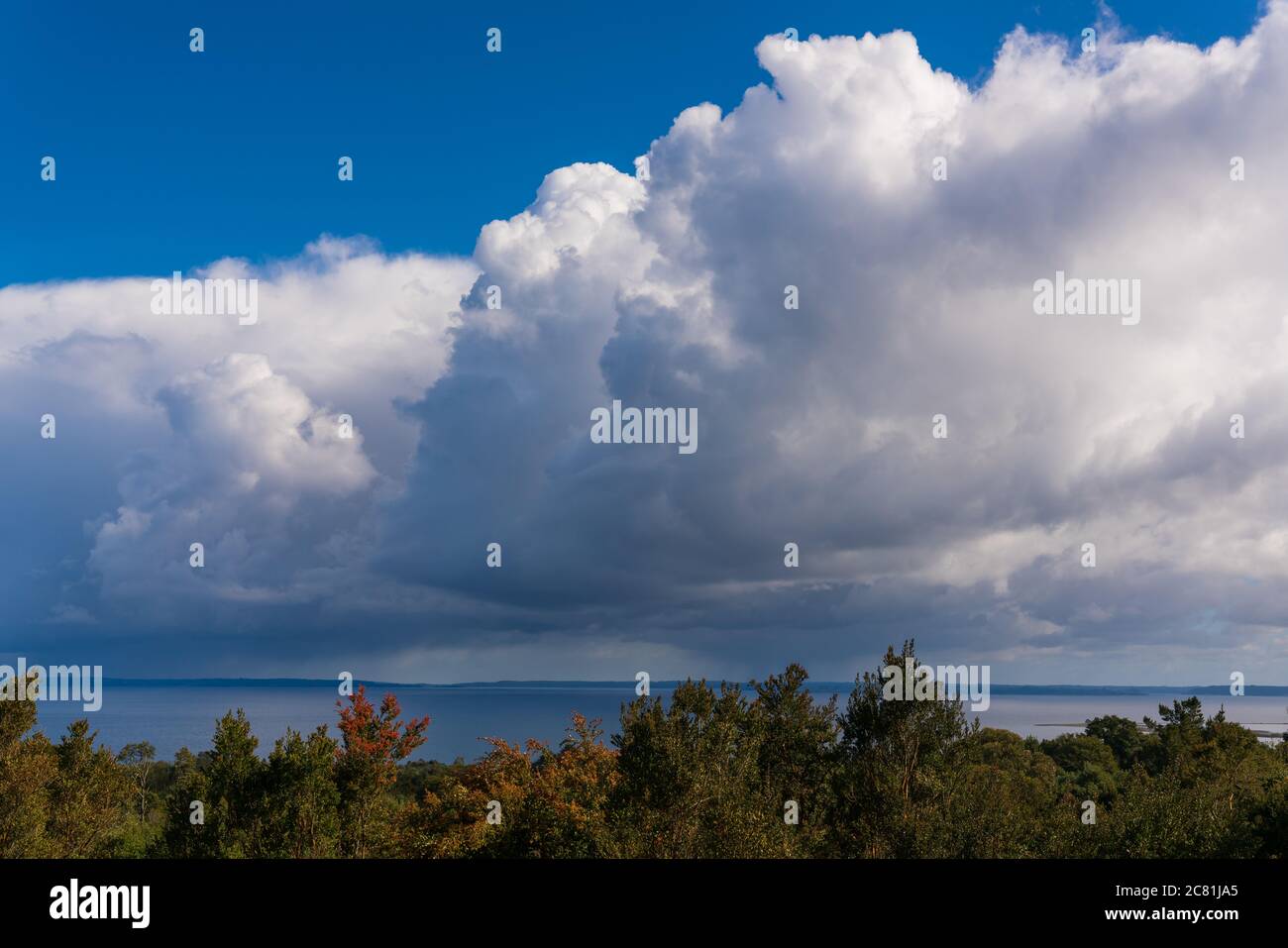 Oddly shaped clouds, filled with water and ready to drop a pouring rain ...